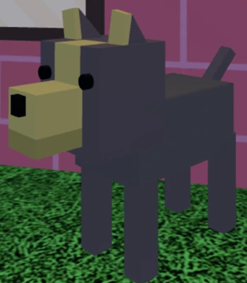 Paco | Pet story Wiki | Fandom