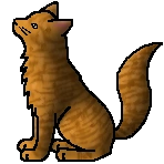 Mapleclaw | Petalstar Wiki | Fandom