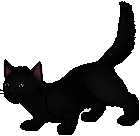 Nightstar | Petalstar Wiki | Fandom