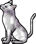 Cloudface | Petalstar Wiki | Fandom