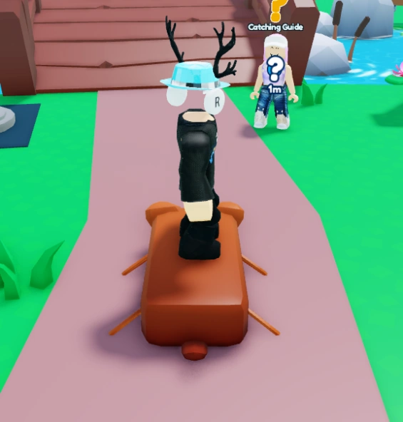 Bruh Board | Pet Catchers Wiki | Fandom