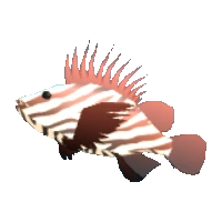 Lionfish | Pet Catchers Wiki | Fandom