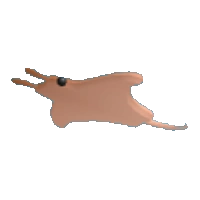 Sand Ray | Pet Catchers Wiki | Fandom