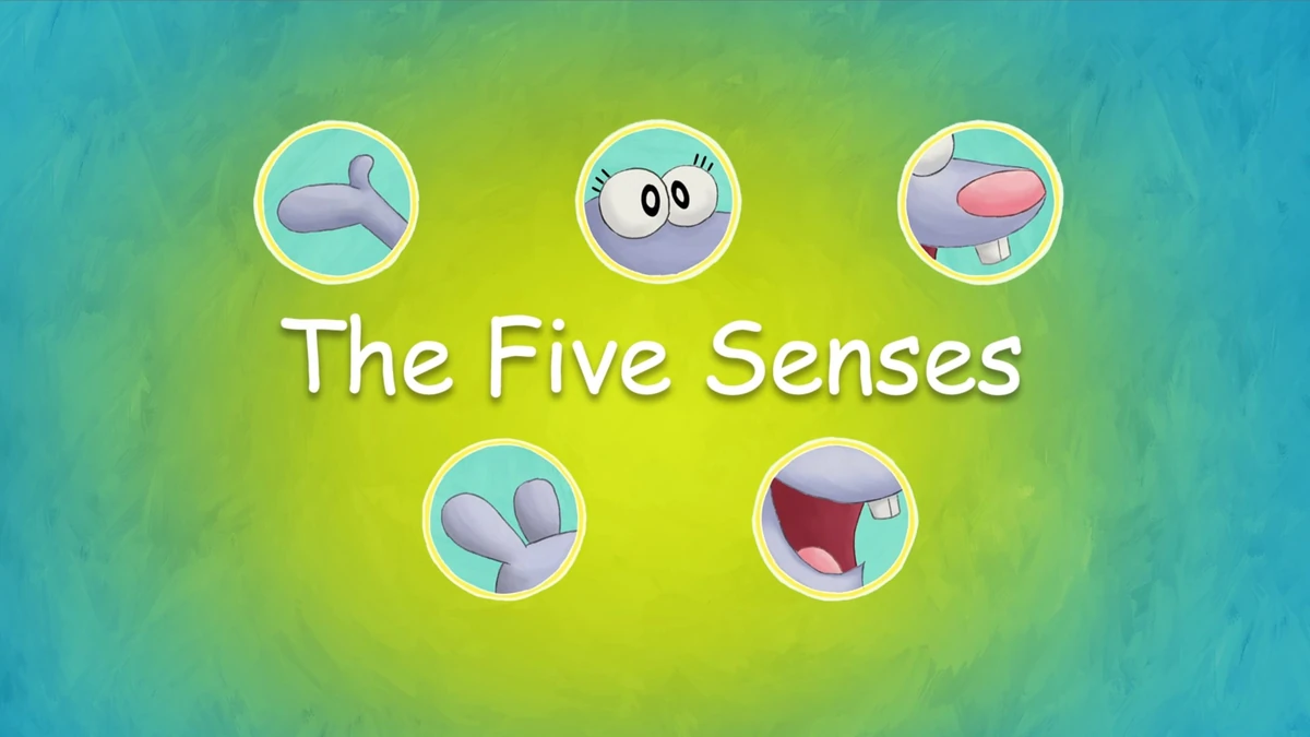 The Five Senses | Pete the cat and friends Wiki | Fandom