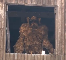 Dogman | Peter Caine Dog Training Wiki | Fandom