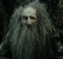 Thráin II | Peter Jackson's The Hobbit Wiki | Fandom
