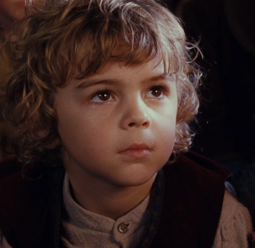 Minto Boffin | Peter Jackson's The Lord of the Rings Trilogy Wiki | Fandom