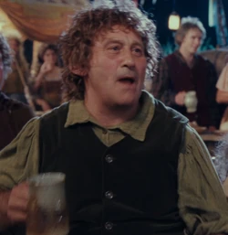Filibert Bolger | Peter Jackson's The Lord of the Rings Trilogy Wiki ...