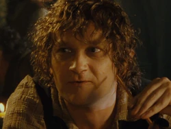 Ted Sandyman | Peter Jackson's The Lord of the Rings Trilogy Wiki | Fandom