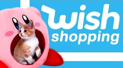 Wish Shopping! | Peter Knetter Shopping Wiki | Fandom