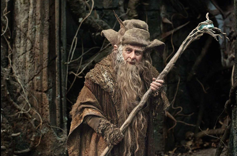 Radagast | Peter Jackson's Middle-Earth Wiki | Fandom