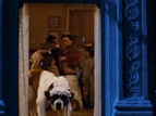 Nana (2003) | Peter Pan Wiki | Fandom