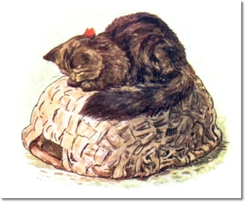 Cat | Peter Rabbit & Friends Wiki | Fandom