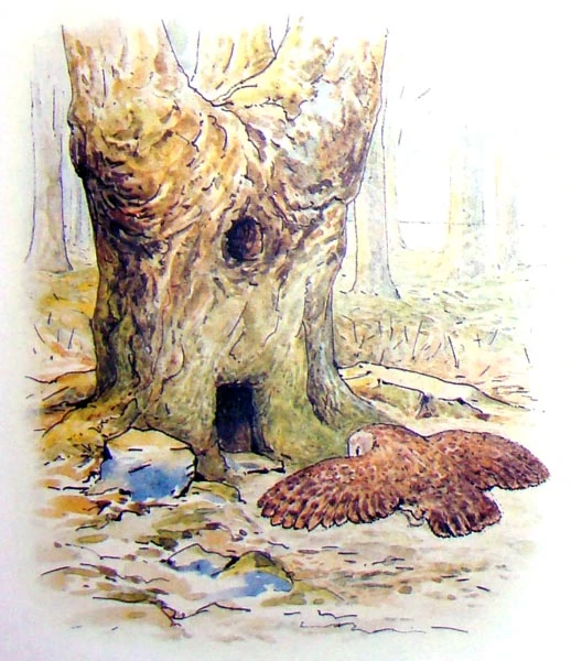 Hollow Oak Tree | Peter Rabbit & Friends Wiki | Fandom