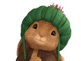 Category:Characters | Peter Rabbit (TV series) Wiki | Fandom