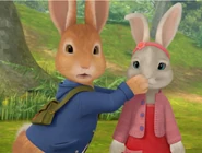 Peter and Lily's Gallery | Peter Rabbit (TV series) Wiki | Fandom