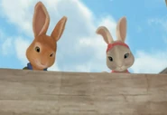 Peter and Lily's Gallery | Peter Rabbit (TV series) Wiki | Fandom