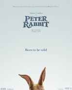 Peter Rabbit (Movie)/Gallery | Peter Rabbit (TV series) Wiki | Fandom