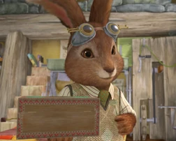 Mr. Bouncer | Peter Rabbit (TV series) Wiki | Fandom