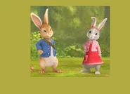 Peter and Lily's Gallery | Peter Rabbit (TV series) Wiki | Fandom