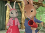 Peter and Lily's Gallery | Peter Rabbit (TV series) Wiki | Fandom