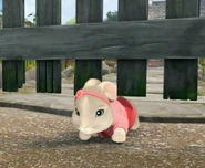 Lily Bobtail/Gallery | Peter Rabbit (TV series) Wiki | Fandom