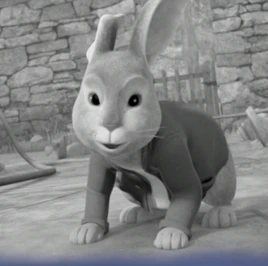 Mr. Rabbit | Peter Rabbit (TV series) Wiki | Fandom