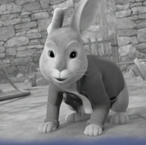 Mr. Rabbit | Peter Rabbit (TV series) Wiki | Fandom