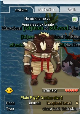 Pets | Pet Forest Wiki | Fandom