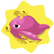 Pink Monster Fish | Pet Society Wiki | Fandom