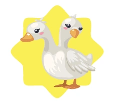 Two Headed Duck | Pet Society Wiki | Fandom
