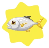 Yellow Jack | Pet Society Wiki | Fandom