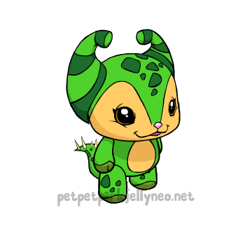 Drym | Petpet Park Wiki | Fandom