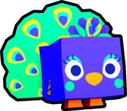 Peacock | Pets GO Wiki | Fandom