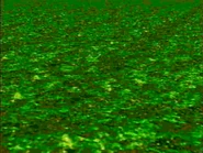 Newmaker Plane | Petscop Wiki | Fandom