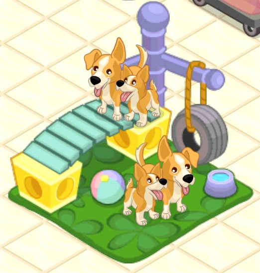 Cojack | Pet Shop Story Wiki | Fandom