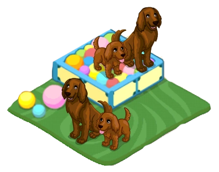 Irish Setter | Pet Shop Story Wiki | Fandom