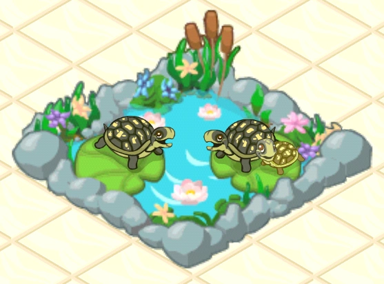 Box Turtle | Pet Shop Story Wiki | Fandom