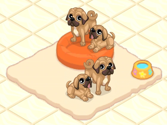 Puggle | Pet Shop Story Wiki | Fandom