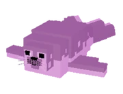 Codes | Petsworld Wiki | Fandom