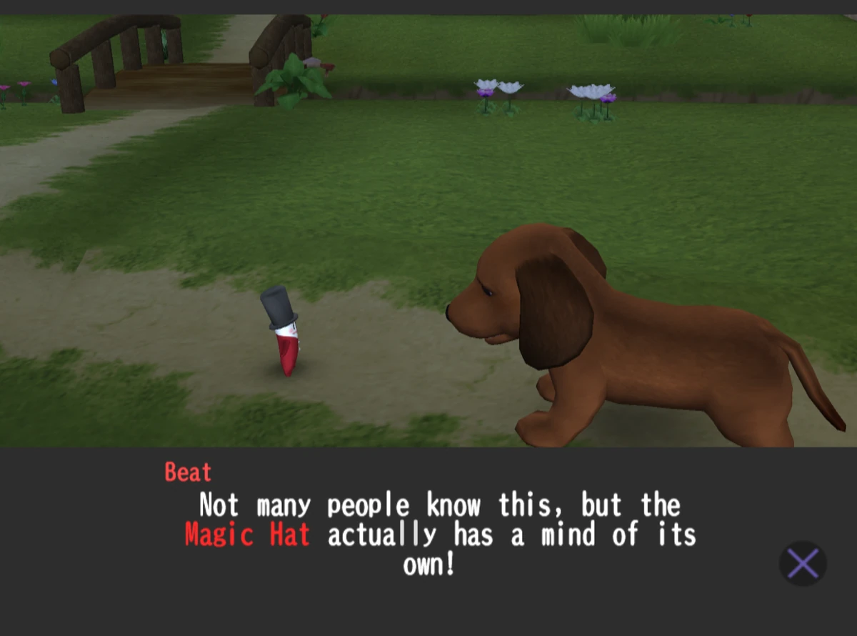 Magic Hat | (Petz:) Catz/Dogz 2 Wiki | Fandom