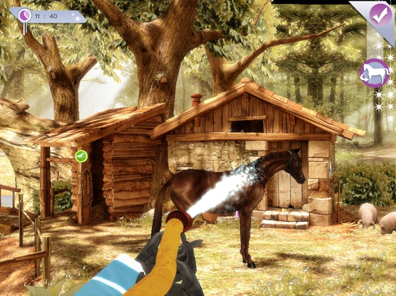 Horse care | Petz Horsez 2 Wiki | Fandom