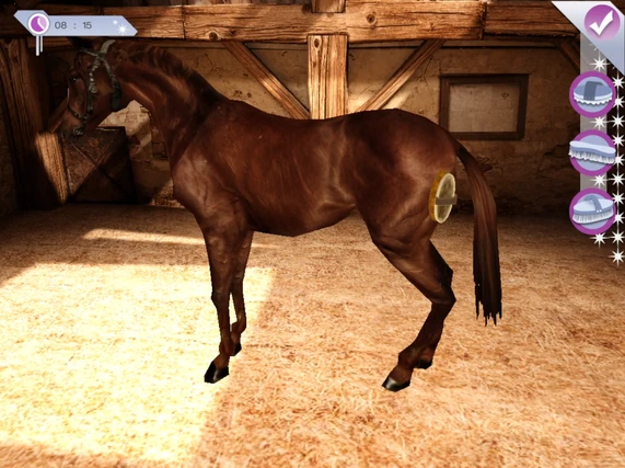 Horse care | Petz Horsez 2 Wiki | Fandom