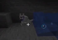 Sven (dog) | PewDiePie Wiki | Fandom