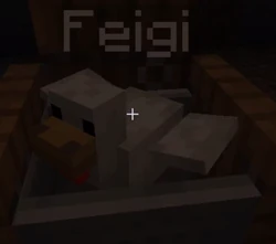 Feigii | PewDiePie Wiki | Fandom