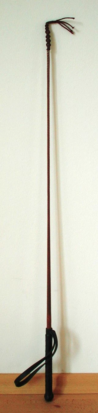 Gerte | Pferde Wiki | Fandom