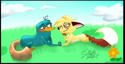 Phineas And Ferb Perry And Kiki