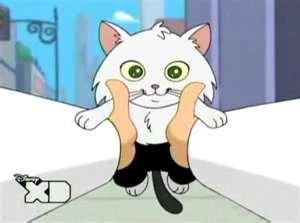 Mr. Cat | Phineas and Ferb Fanon | Fandom
