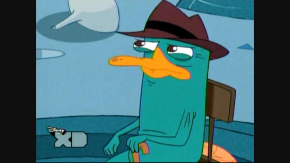 Older Perry | Phineas and Ferb Fanon | Fandom