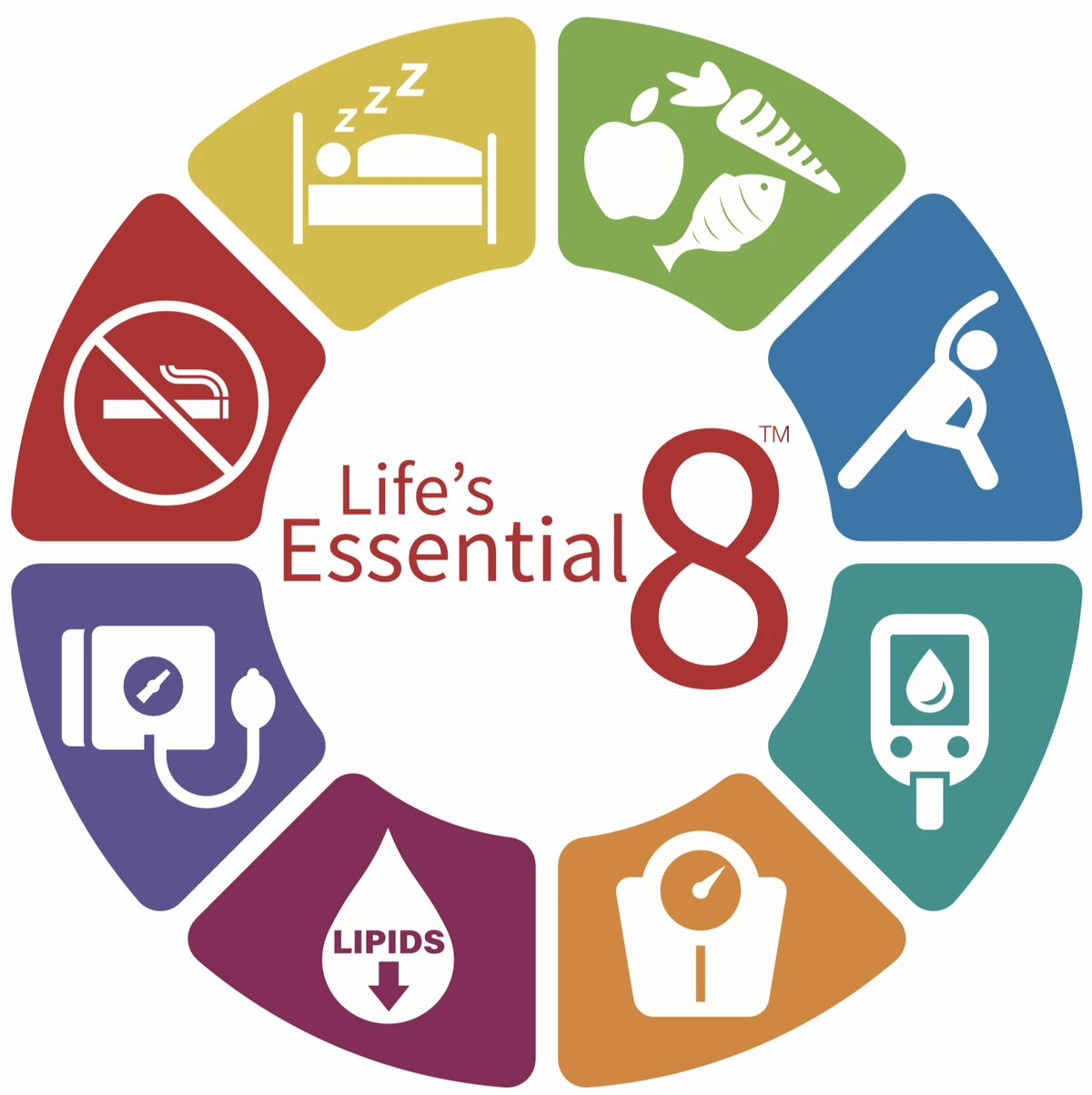 Life’s Essential 8 | PflegeABC Wiki | Fandom
